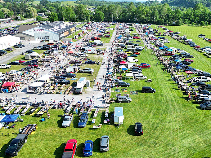 From above, Leighty's transforms into a human beehive of commerce, where cars and tents create temporary neighborhoods of passionate collectors.