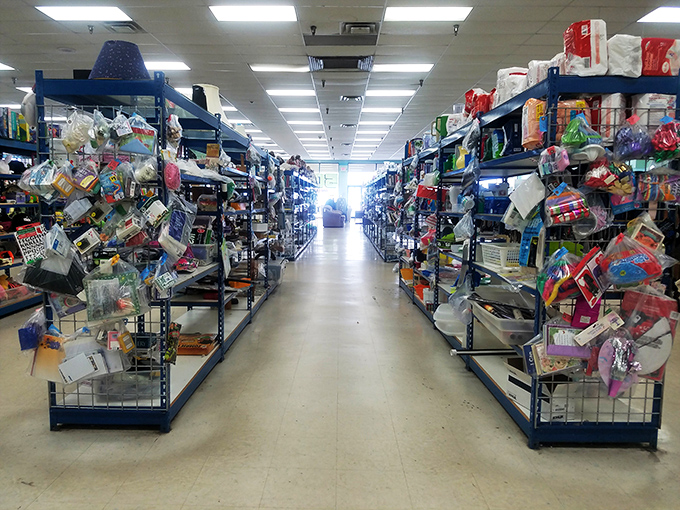 Aisle infinity: where possibility stretches as far as the eye can see. Getting lost here is half the fun.