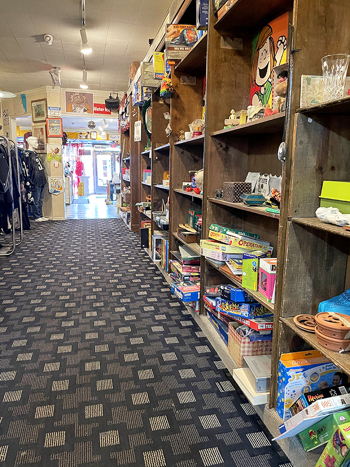 Navigate these packed pathways and discover why one person's donation becomes another's obsession.