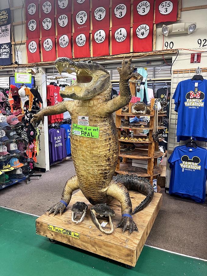 This golden gator might be the most Florida thing you'll ever see&mdash;part souvenir, part conversation piece, all character.