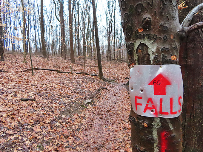 Trail markers: sometimes artistic, sometimes desperate, always appreciated when you're wondering if that rustling sound was a bear or a squirrel. 