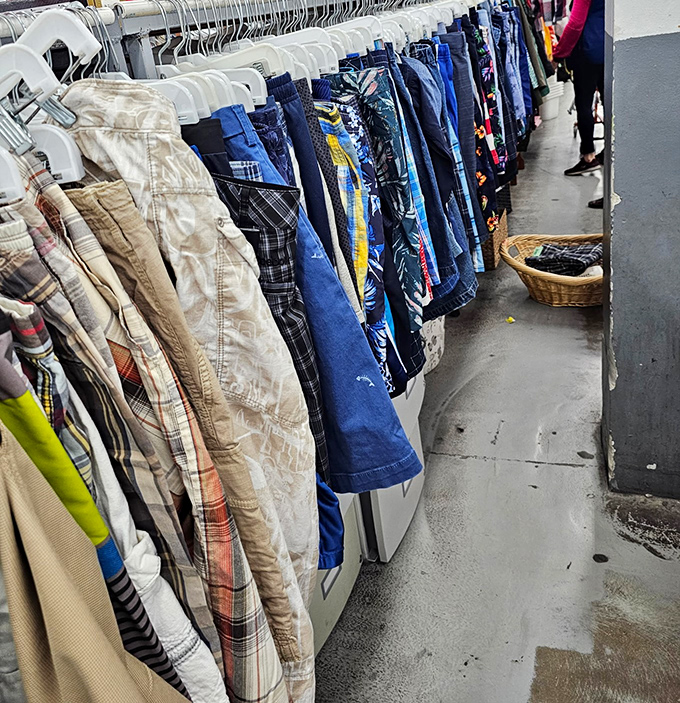 Summer shorts collection offers comfort and style without the seasonal markup that makes retailers smile wickedly.