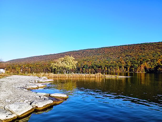 Autumn's greatest performance has no admission fee. The reservoir's shoreline transforms into a painter's palette of reds, oranges, and golds.