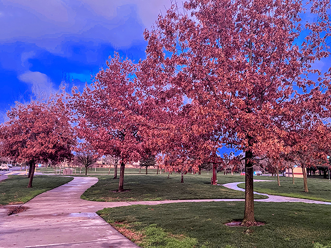 Seasonal color transforms Modesto's parks into vibrant displays that rival New England's famous foliage. Nature's way of showing off without being obnoxious about it.