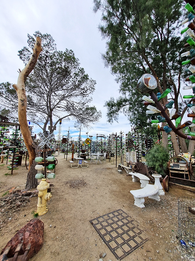 Desert rest stop extraordinaire! These concrete benches offer weary wanderers a moment to absorb the bottle brilliance surrounding them.