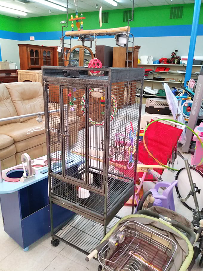 Not just for birds! This vintage cage could house feathered friends or become Instagram-worthy d&eacute;cor for the creatively minded shopper.
