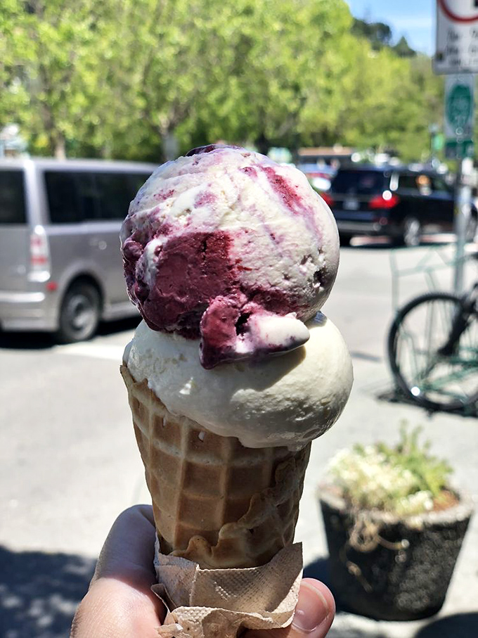 Summer captured in a cone&mdash;swirls of berry and cream creating the perfect antidote to an ordinary day.