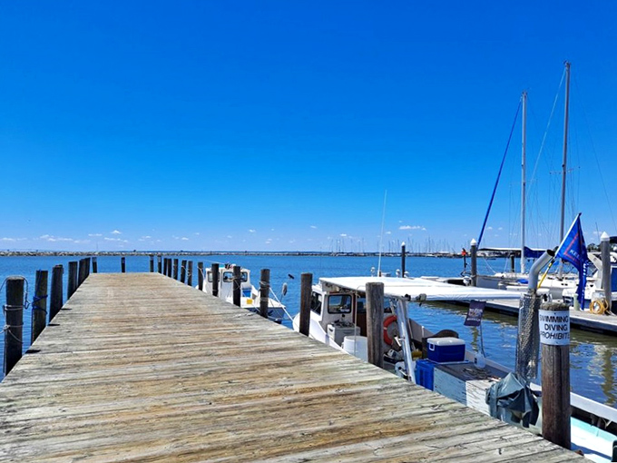 The marina boardwalk stretches toward endless blue skies, where sailboats bob like floating dreams of escape.