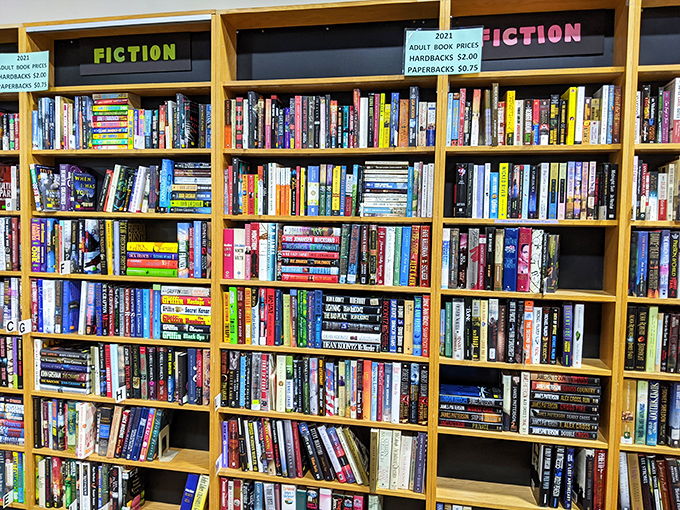 The book section rivals small libraries, offering literary escapes for pocket change&mdash;proof that thrifting feeds both your home and your mind.
