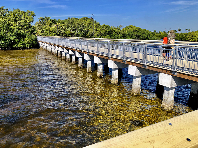 This bridge doesn't just connect land to land&mdash;it's a pathway to the Florida that existed before theme parks and high-rises took over.