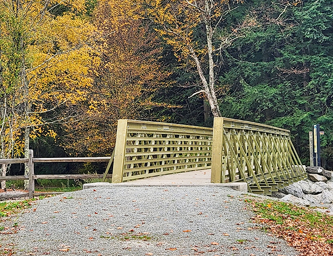 This bridge connects more than just two sides of Fall Brook. It's the perfect spot for those contemplative moments that never make it to social media.