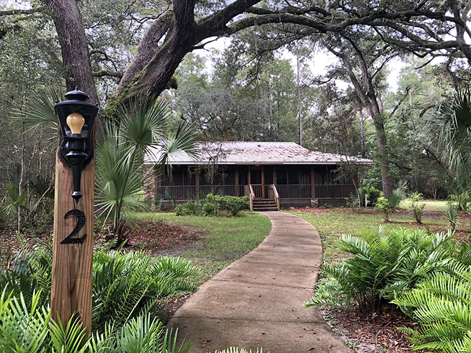 Rustic cabins nestled among palmettos and live oaks &ndash; where "roughing it" still includes a real bed and protection from Florida's enthusiastic mosquitoes. 