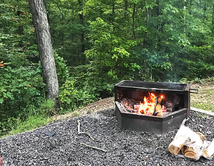 Campfire magic in the wilderness. S'mores taste infinitely better when enjoyed with a soundtrack of rustling leaves and distant water.