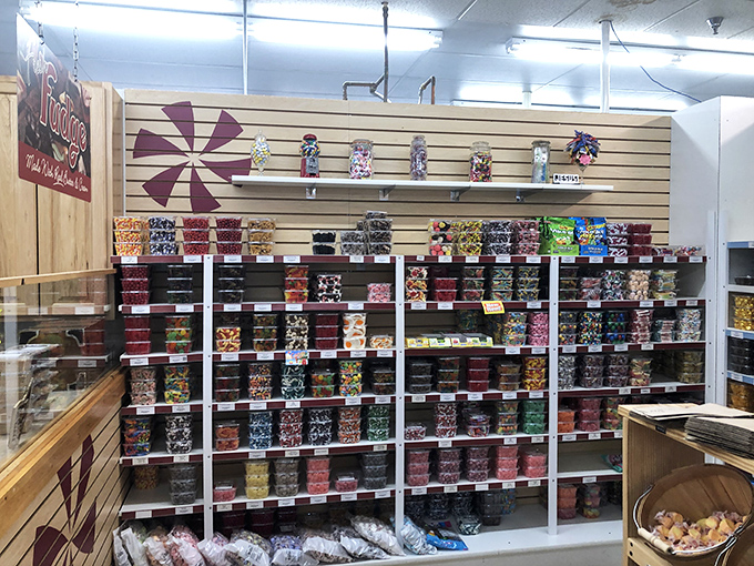 Bulk candy displays create a nostalgic wonderland that appeals to inner children of every single age.