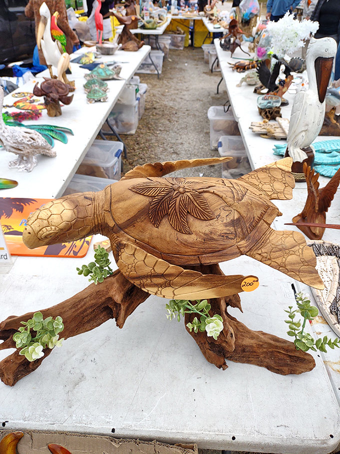 Woodcarving elevated to art &ndash; this sea turtle seems ready to swim off its driftwood perch, capturing Florida's coastal spirit in warm grain.
