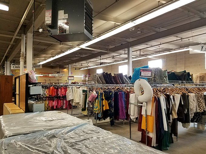 Clothing racks stretch toward the horizon like textile prairies, promising fashion gold for those willing to pan through the polyester.