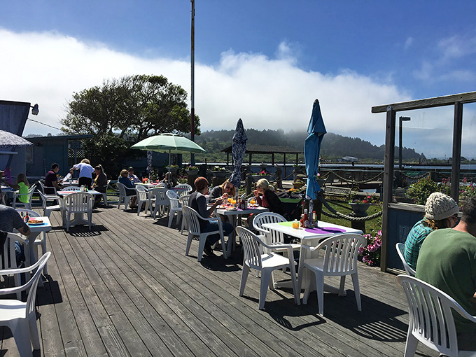 Happy diners enjoying their waterfront feast while seabirds provide the entertainment and occasional comic relief.