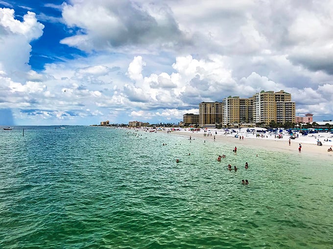 Clearwater's shoreline presents the perfect balance—developed enough for comfort but preserved enough to remind you why you came to Florida in the first place.