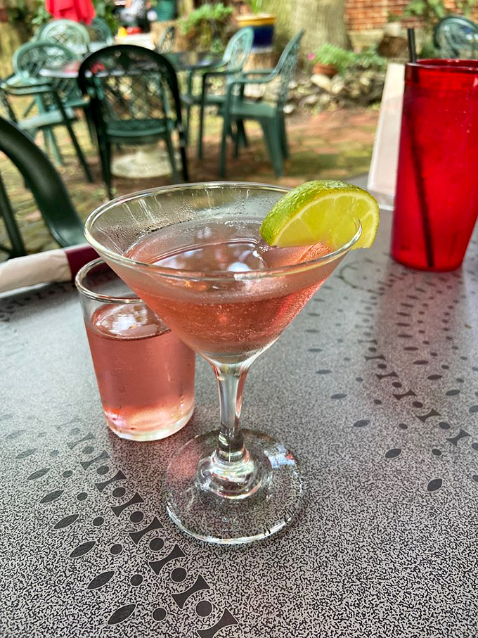 A perfectly mixed cocktail with a lime garnish, catching sunlight in the garden. Some drinks just know how to make an entrance.