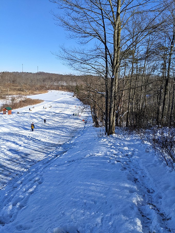 Winter transforms Punderson into Ohio's answer to the Alps, minus the intimidating vertical drops and exorbitant lift tickets.