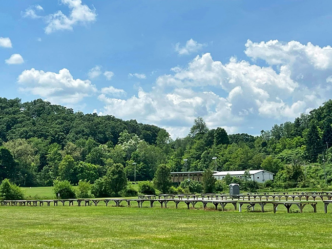 Rolling hills and blue skies frame the peaceful countryside setting. The calm before the bargain-hunting storm.