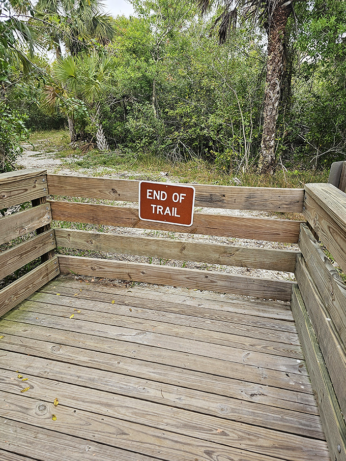Every good story needs an ending. This trail concludes with a simple bench that says, "Sit. Reflect. You've earned this moment of quiet."