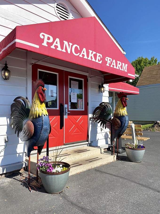 Rooster sentinels guard the entrance with whimsical dignity. These colorful greeters set the tone for the farm-fresh experience inside.