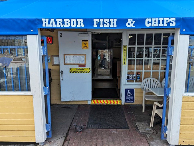 The entrance might be humble, but it's a portal to seafood excellence. Even the local pigeon knows where the good stuff is!