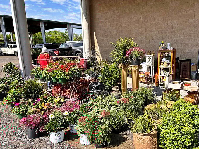 Garden treasures await green thumbs. These vibrant plants bring life to the market, proving not all treasures here are from yesteryear.