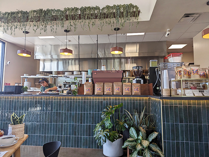 The open kitchen setup lets you witness culinary magic in action. Those hanging plants add a touch of jungle to your taco Tuesday.