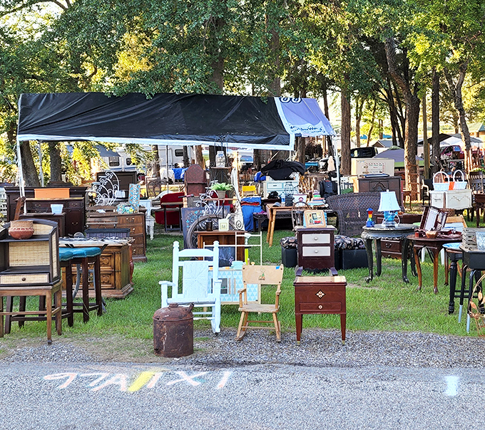 Furniture finds range from rustic charm to refined elegance, transforming houses into personalized dream homes.