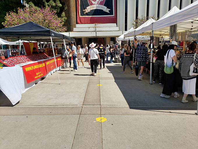 The heartbeat of the market &ndash; where shoppers flow between stalls like a choreographed dance of discovery and delight.