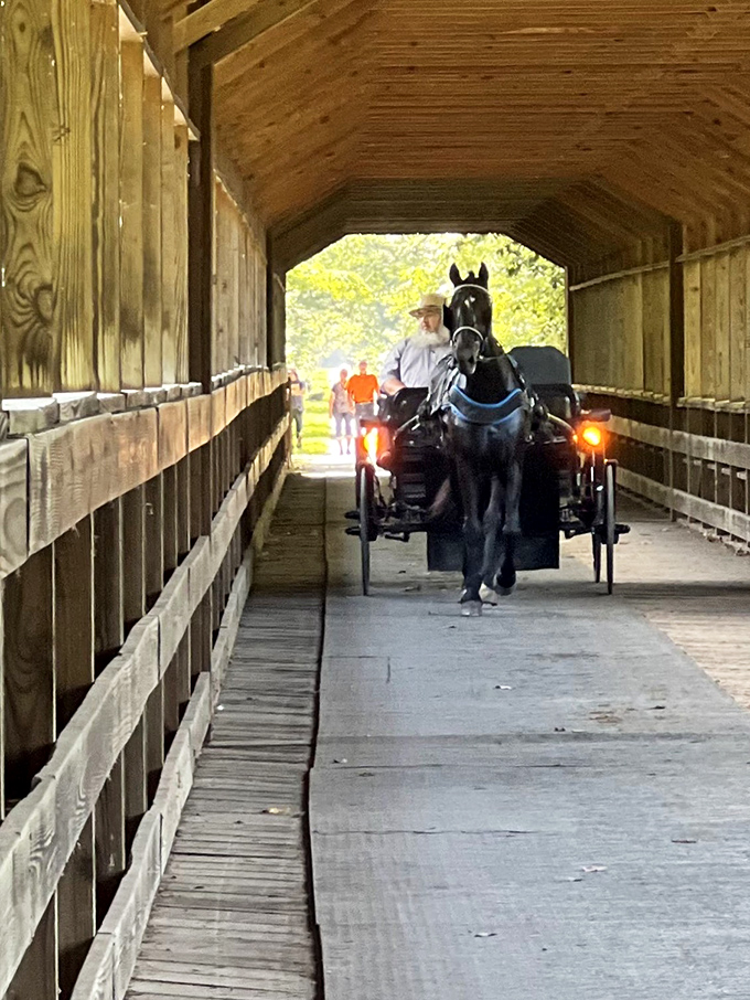 Sometimes the journey back in time requires the perfect vintage transportation to complete the magical experience.