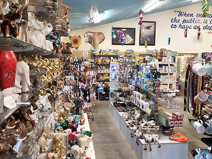 The museum's thoughtful organization allows each precious piece to shine while creating engaging visual narratives.