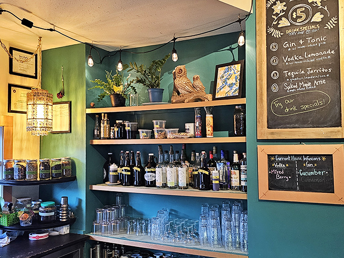 The bar area showcases both the cafe's commitment to quality spirits and its playful owl theme that carries throughout the space.