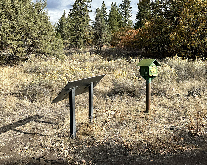 Information superhighway, wilderness edition. These weathered signs tell stories of volcanic history and native heritage without requiring a Wi-Fi connection.