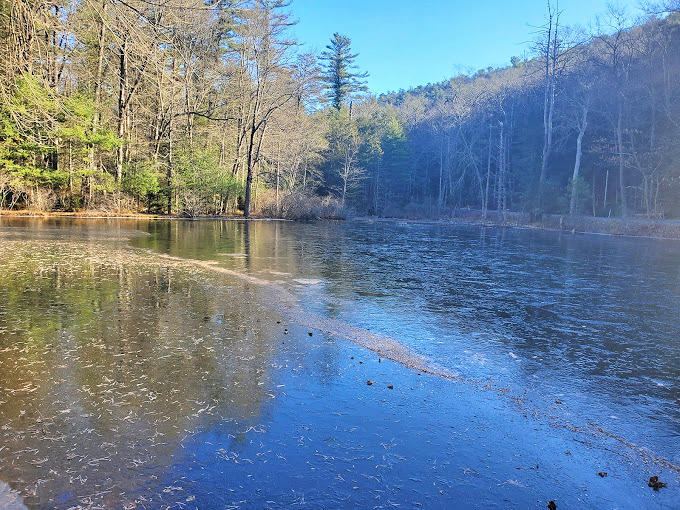 Morning mist hovers over still waters, creating nature's mirror. Fish below, sky above, and somewhere in between, your worries dissolve completely.