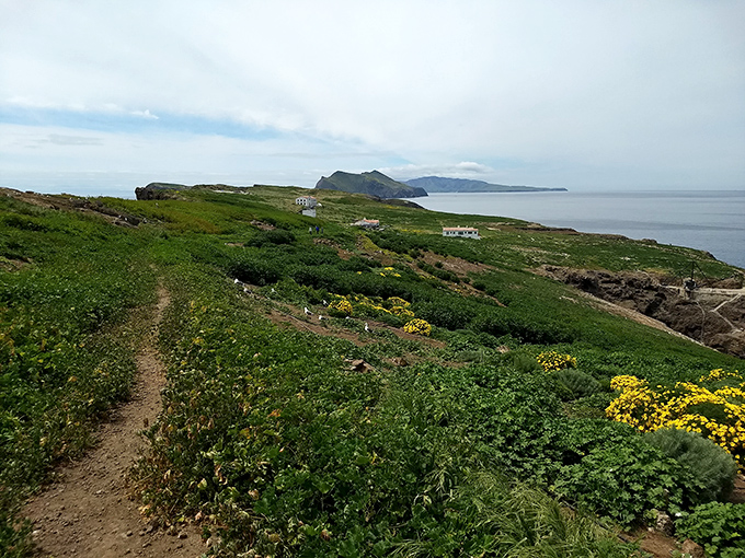 Island trails meander through native vegetation, offering glimpses of the lighthouse and endless ocean beyond.