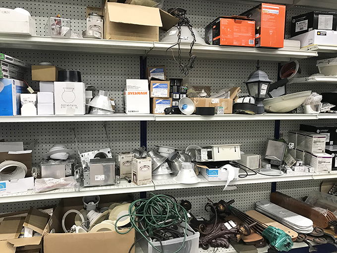 The lighting section illuminates possibilities, from practical bathroom fixtures to statement pieces that could change a room's entire personality.