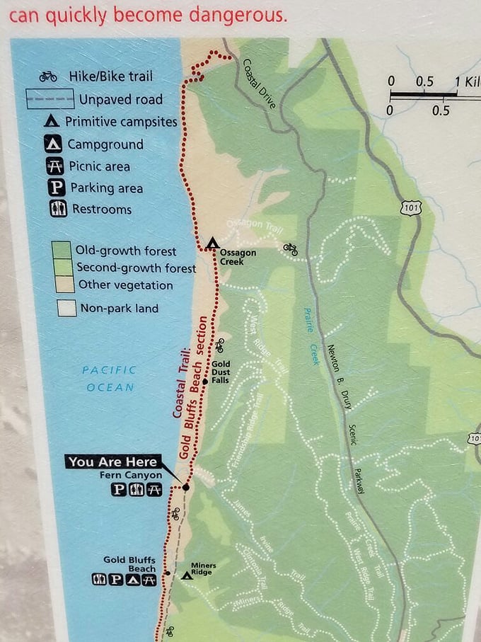 The treasure map to paradise. X marks the spot where your Instagram followers will suddenly develop a serious case of nature envy.