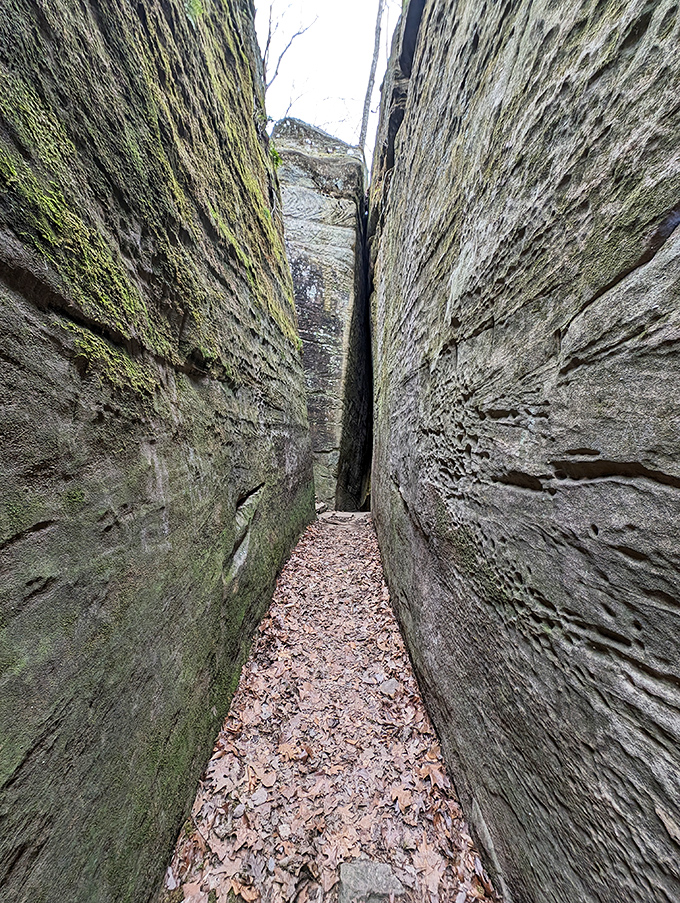 "Fat Man's Squeeze" passage puts your relationship with carbohydrates into sharp perspective. A natural weight management accountability partner.