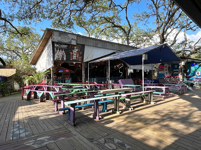 Colorful picnic tables under oak trees create the perfect setting for that "why don't we do this more often?" kind of afternoon.