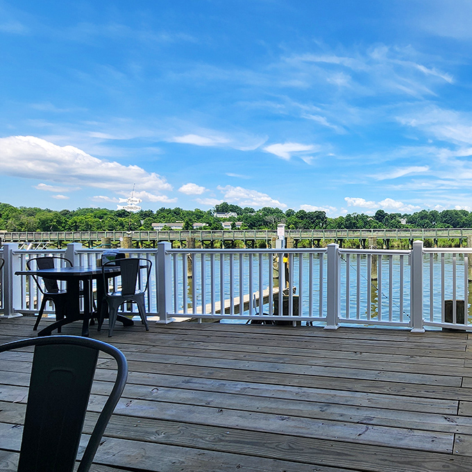 Waterfront dining that reminds you why seafood tastes better when you can actually see where it came from.