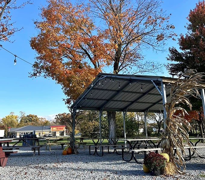 Fall foliage frames the outdoor seating area, where picnic tables invite you to linger just a little longer over that last bite.