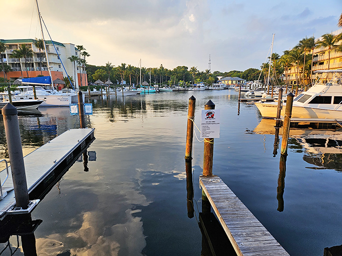 Marina views that remind you why waterfront dining remains one of life's greatest simple pleasures.