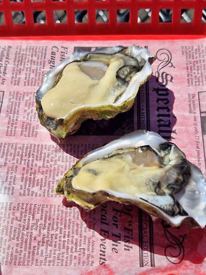 Oysters so fresh they practically whisper tales of the tides. Served simply on newspaper because when you're this good, you don't need fancy dishware.