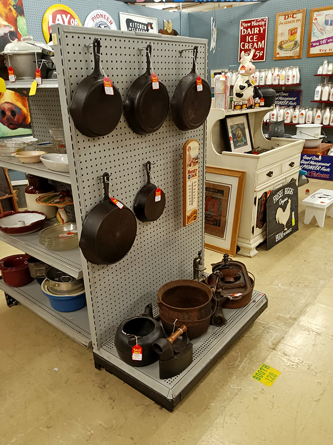 Cast iron heaven! These seasoned beauties have outlived countless non-stick pretenders and stand ready for another century of perfect cornbread.