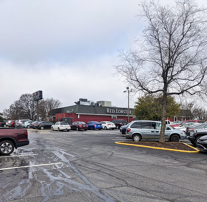 Ample parking means more time enjoying lobster and less time circling blocks like a hungry shark.