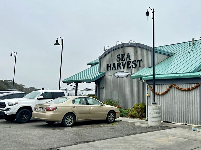Even on a foggy day, Sea Harvest's distinctive silhouette beckons seafood lovers like a lighthouse guiding hungry ships to shore.