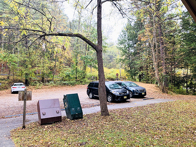 The humble parking area serves as the gateway between ordinary life and extraordinary experience. Your adventure begins when you turn off the engine.